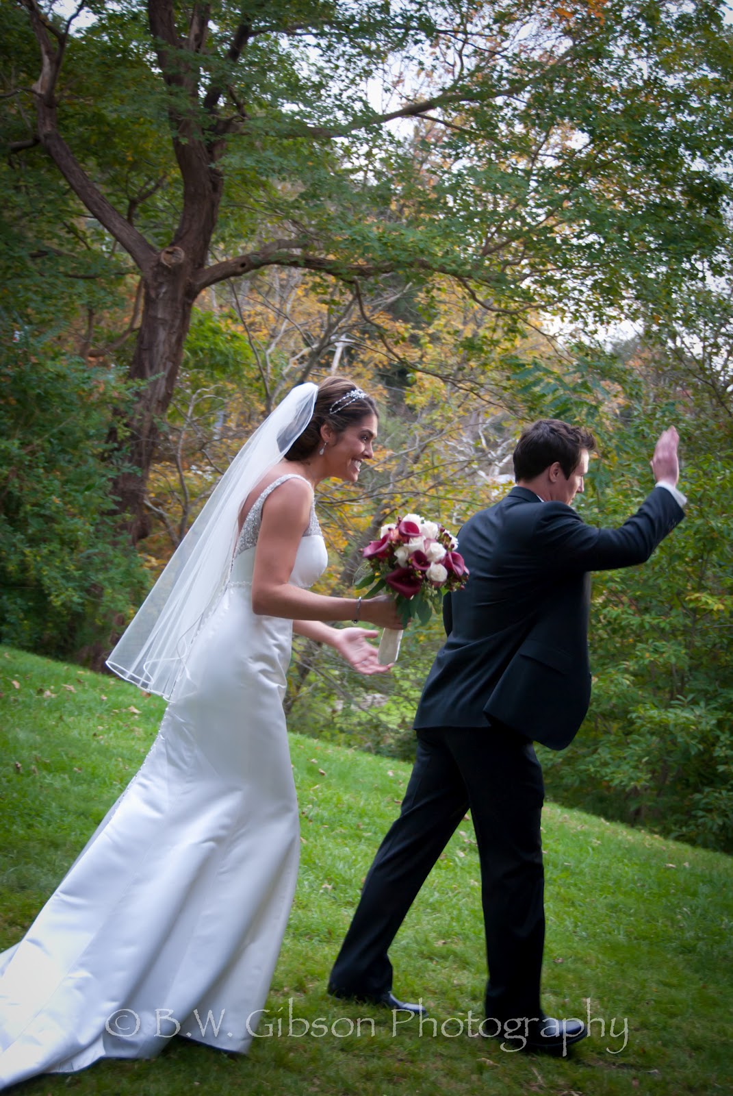 BW Gibson Photography