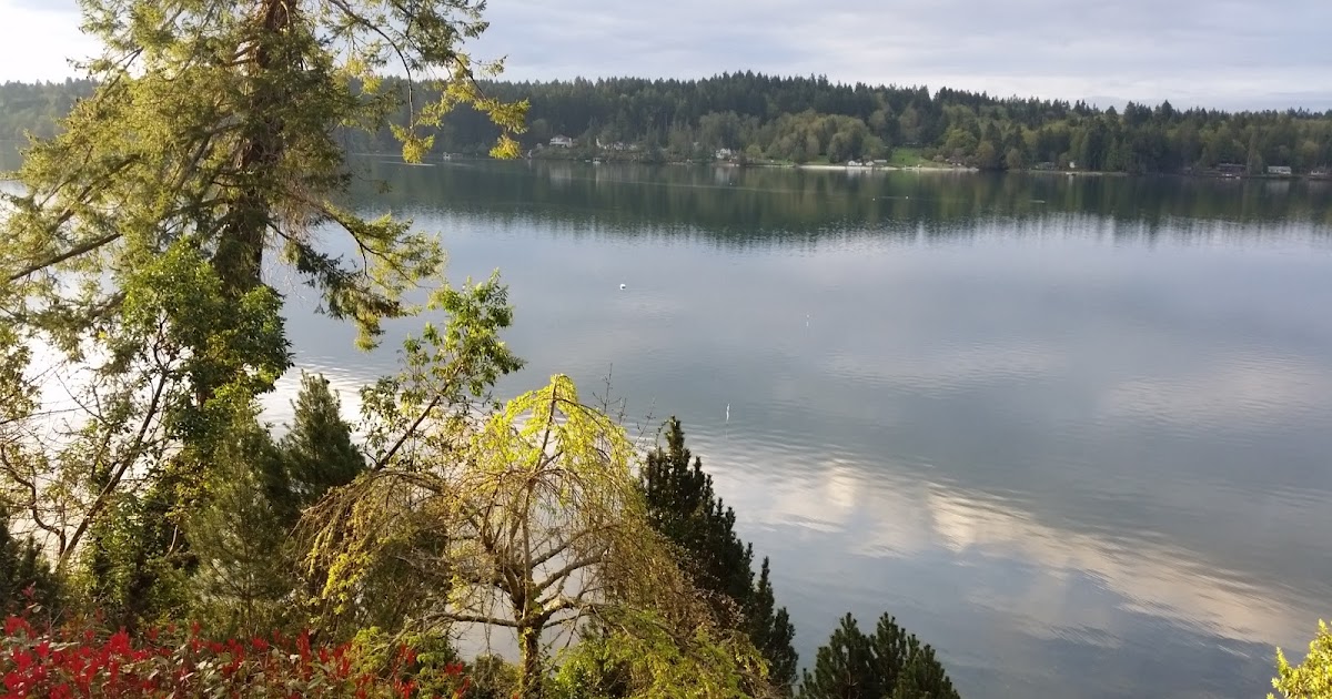 Eyes Over Eld: Eld Inlet Foto Moment