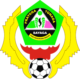 Logo Liga Sepakbola Indonesia