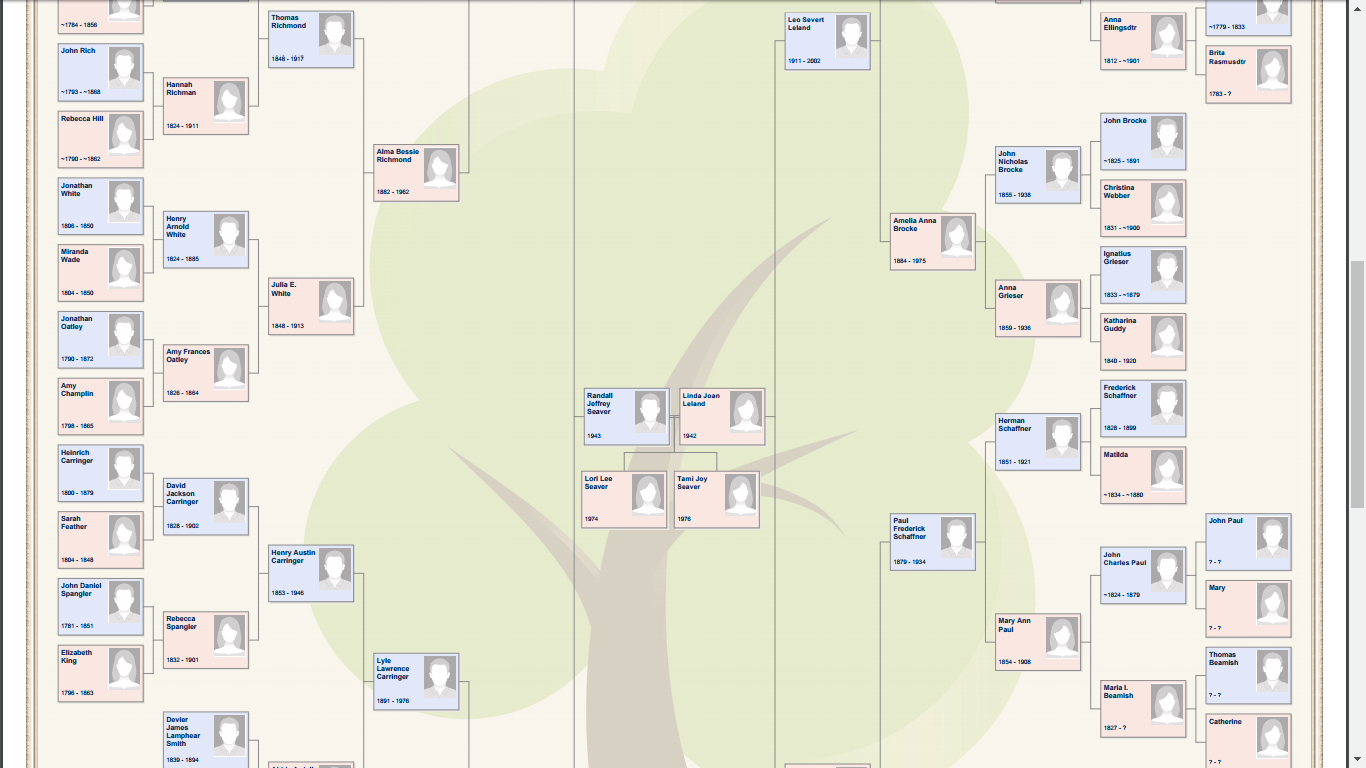 Genea-Musings: Dear Randy: How Do I Make a Bow-Tie Chart in MyHeritage?