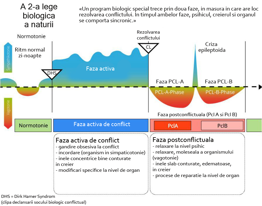 Guturaiul si raceala din perspectiva Noii Medicini Germanice - Jurnal ...