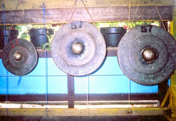Indonesian Musical Instrument : West Borneo