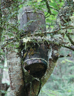 Deformutilation: Tibetan Tree Burial