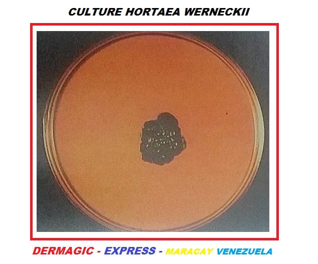 enero 2017 - DERMAGIC EXPRESS / Dermatologia y Bibliografia ...