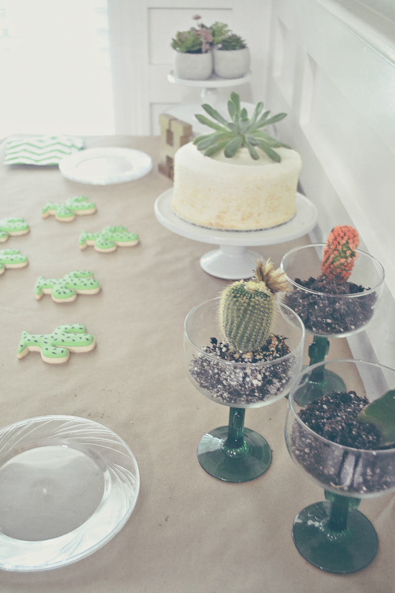 Fawn Over Baby: Cactus Theme Birthday Party: Haines Turns Two!