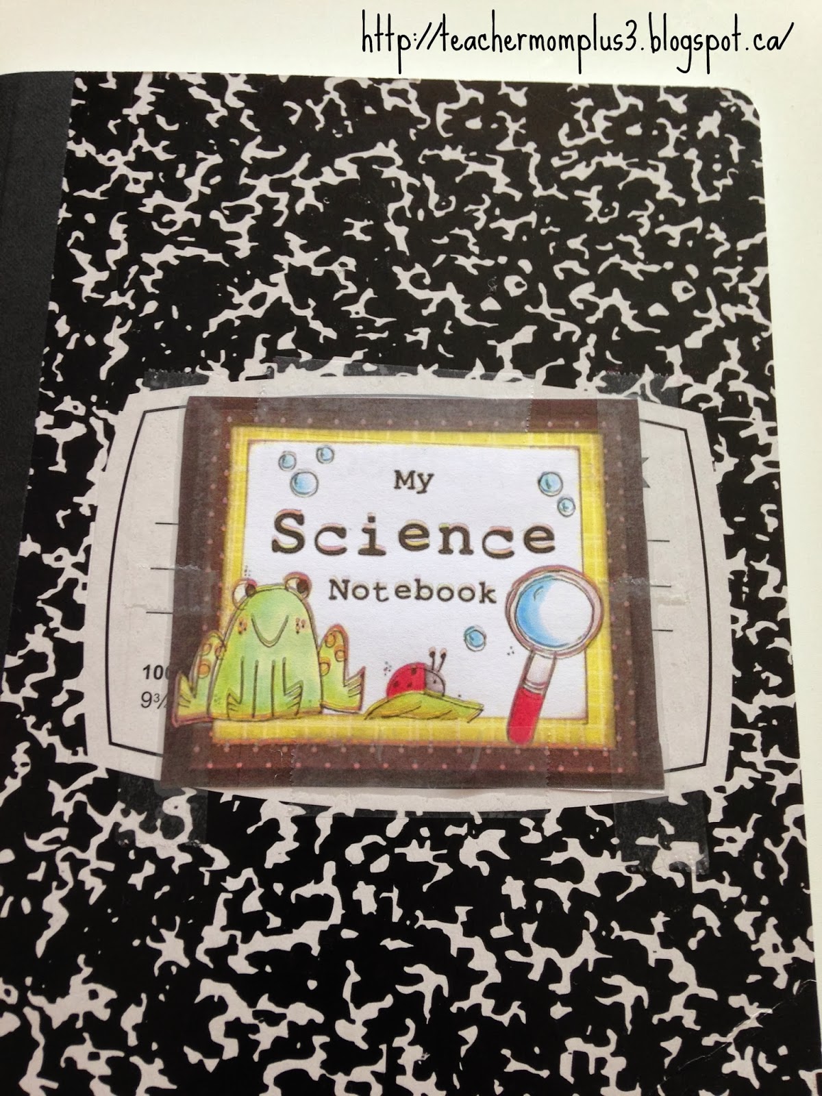 TeacherMomPlus3: Introduction to Science lesson