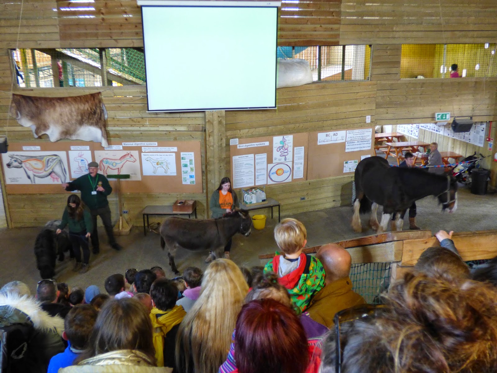 Jelly Rose: We visited Noah's Ark Zoo Farm near Bristol!