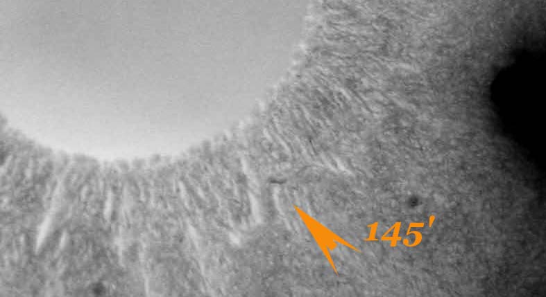 Modern & Multidimensional Iridology: Multidimensional Views - An ...