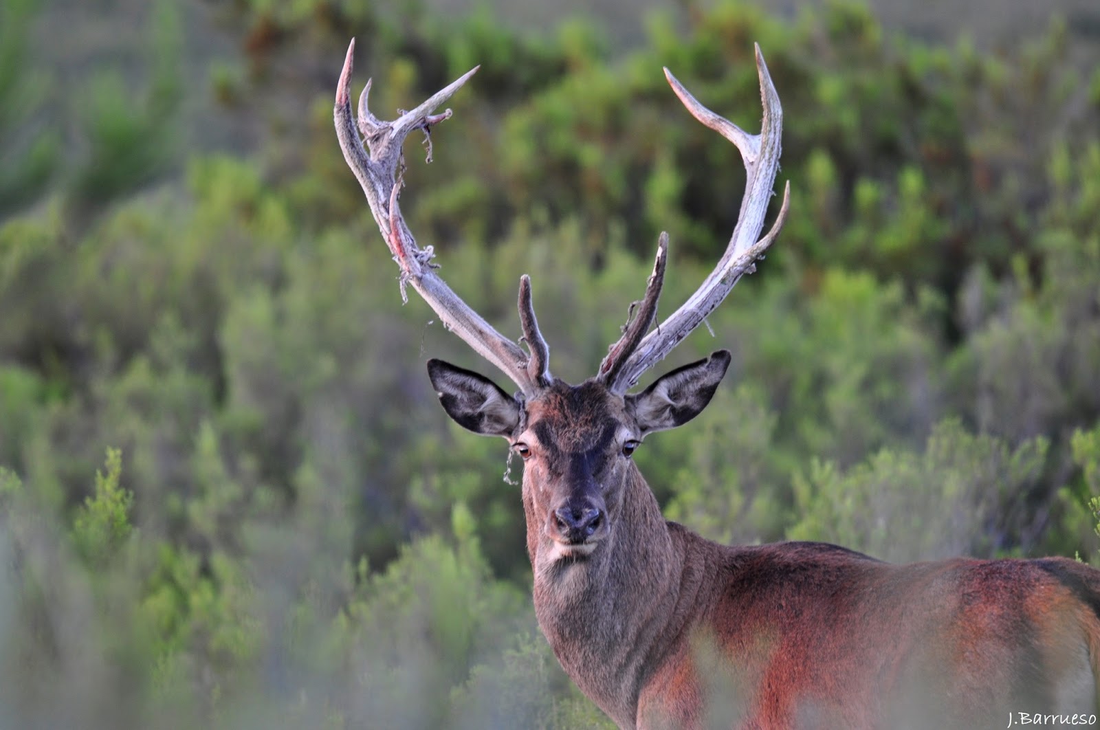 Sitios Online Para Adultos En Cataluna - Home