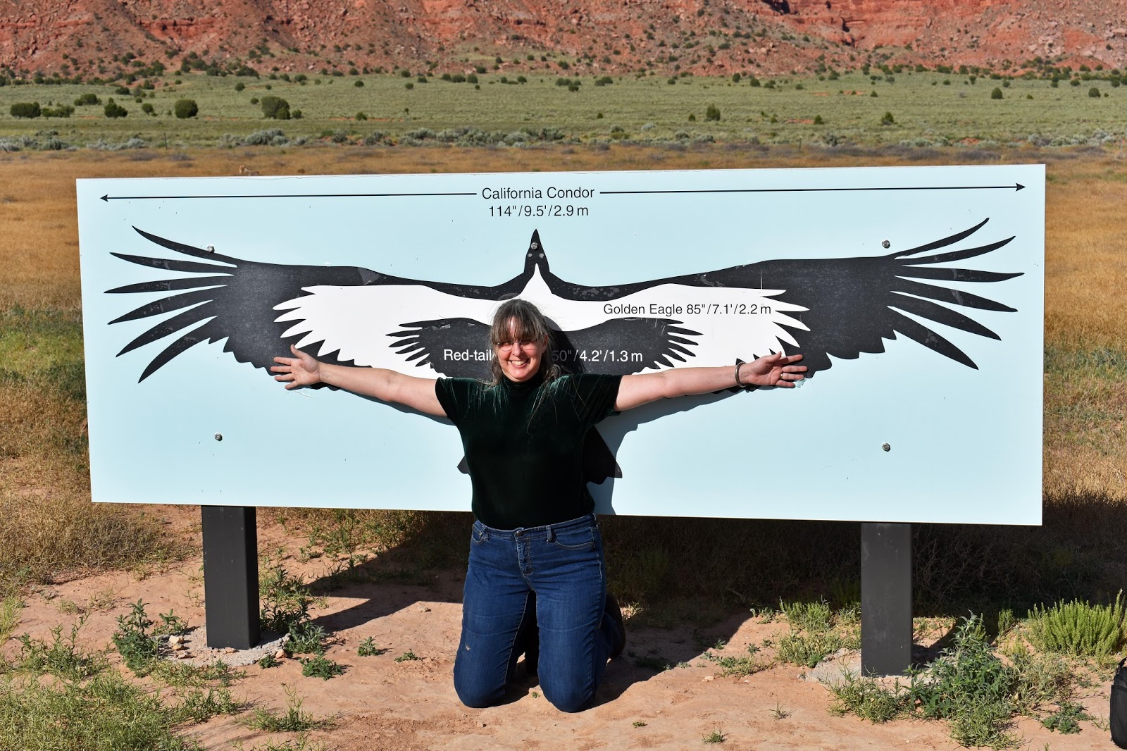 California Condor looking pretty metal and dramatic. They have one of ...