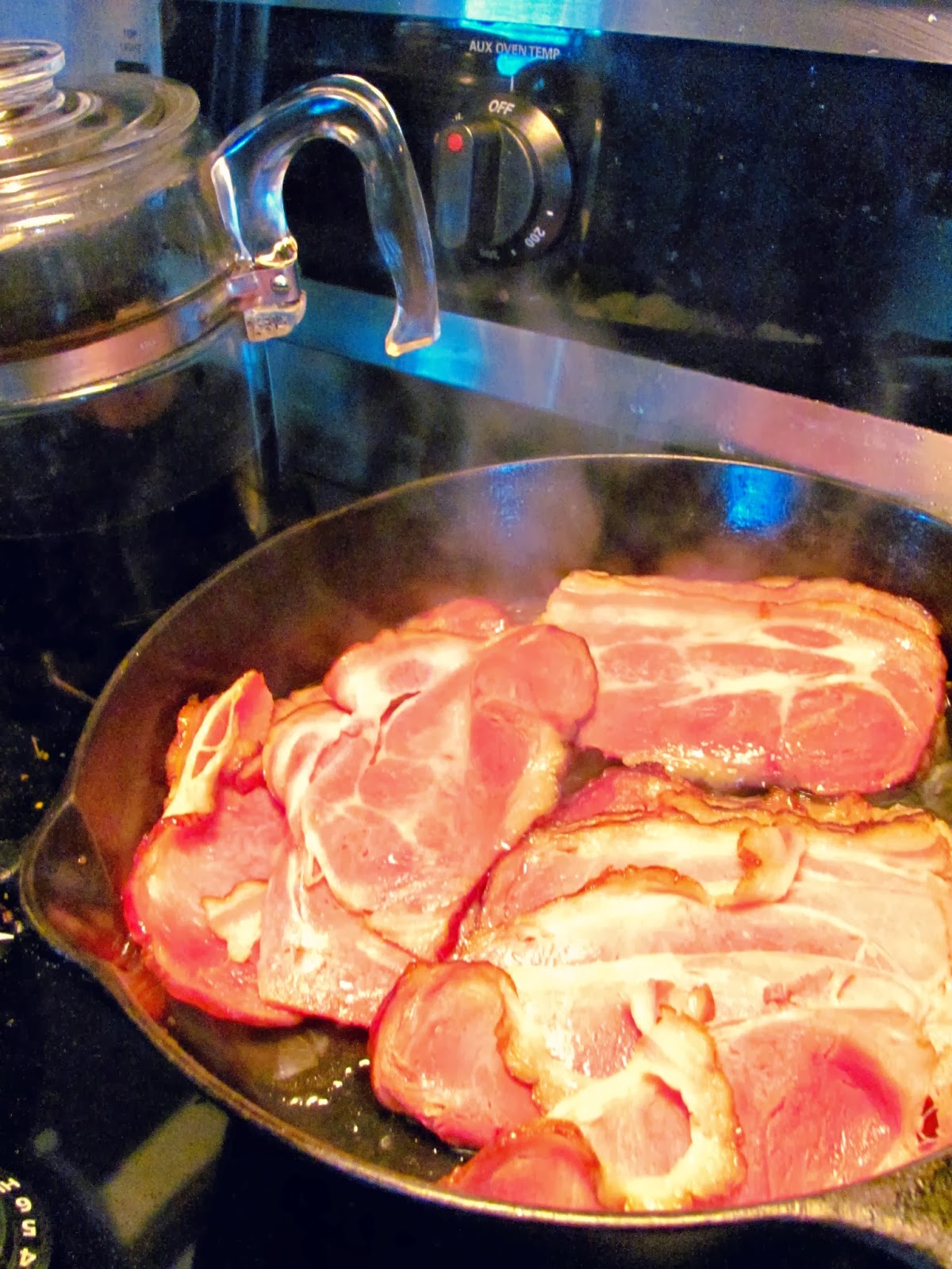 Cast Iron LOVE- a collection from the kitchen and campfire