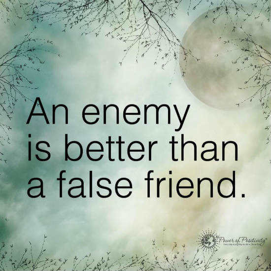 An enemy is better than a fake friend - Quote - 101 QUOTES