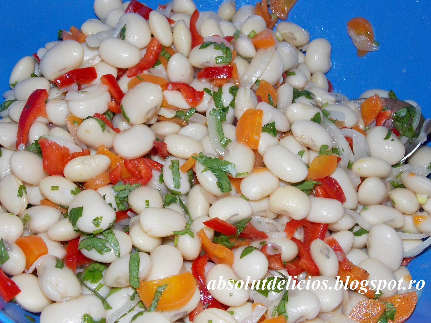 Absolut Delicios: SALATA DE FASOLE BOABE