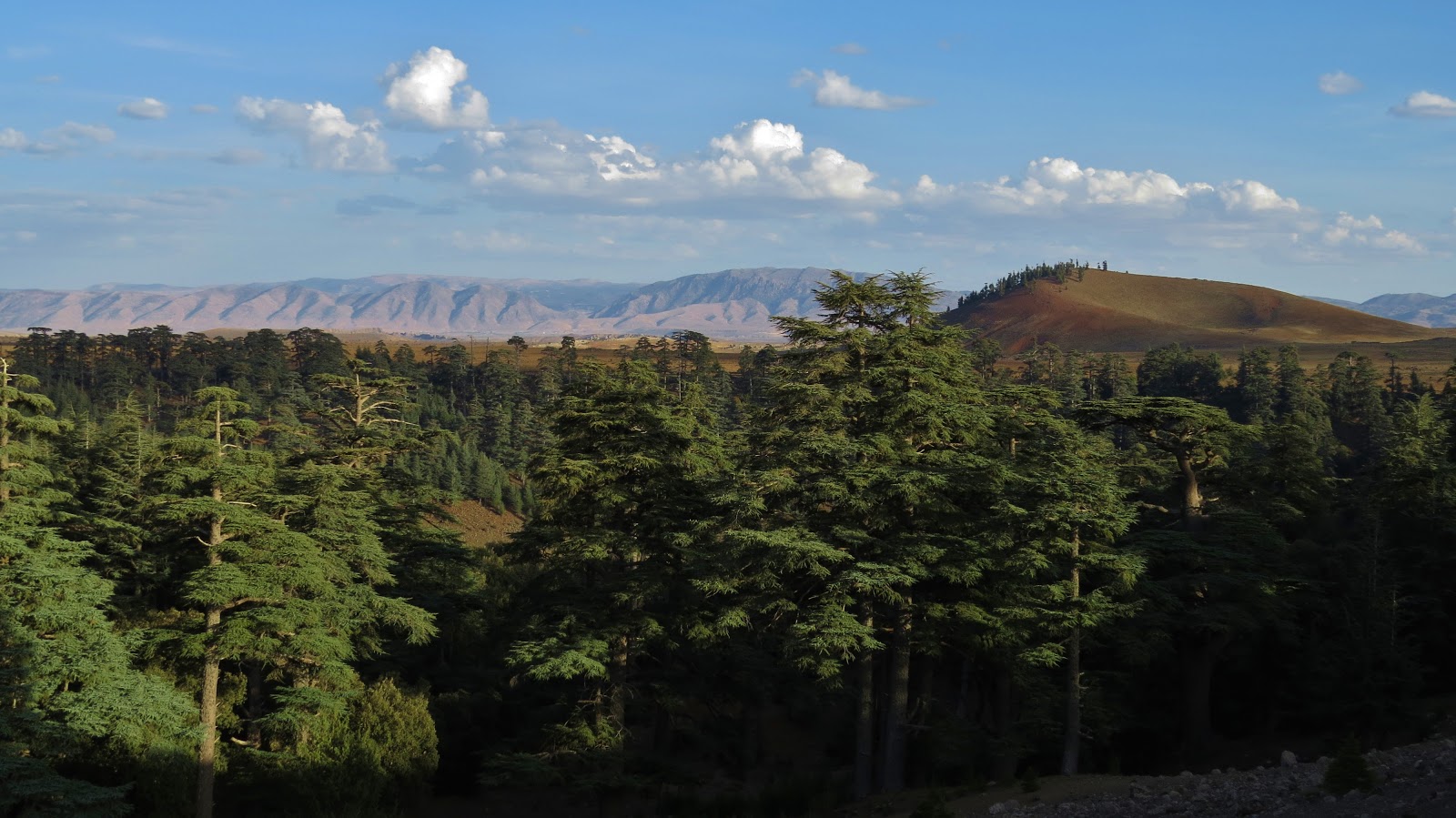Kolin's Travels: Living in Moroccan Paradise: Ifrane National Park