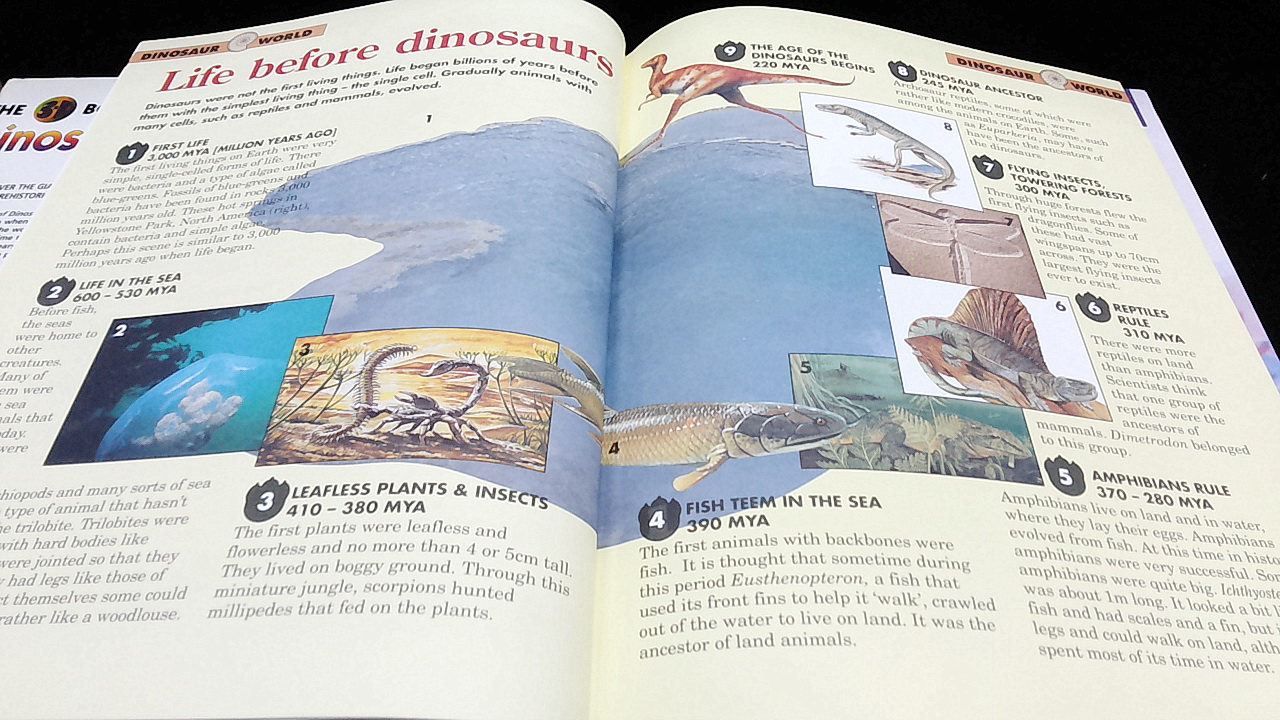 Kid Books Blog: 34.The 3D Book of Dinosaurs