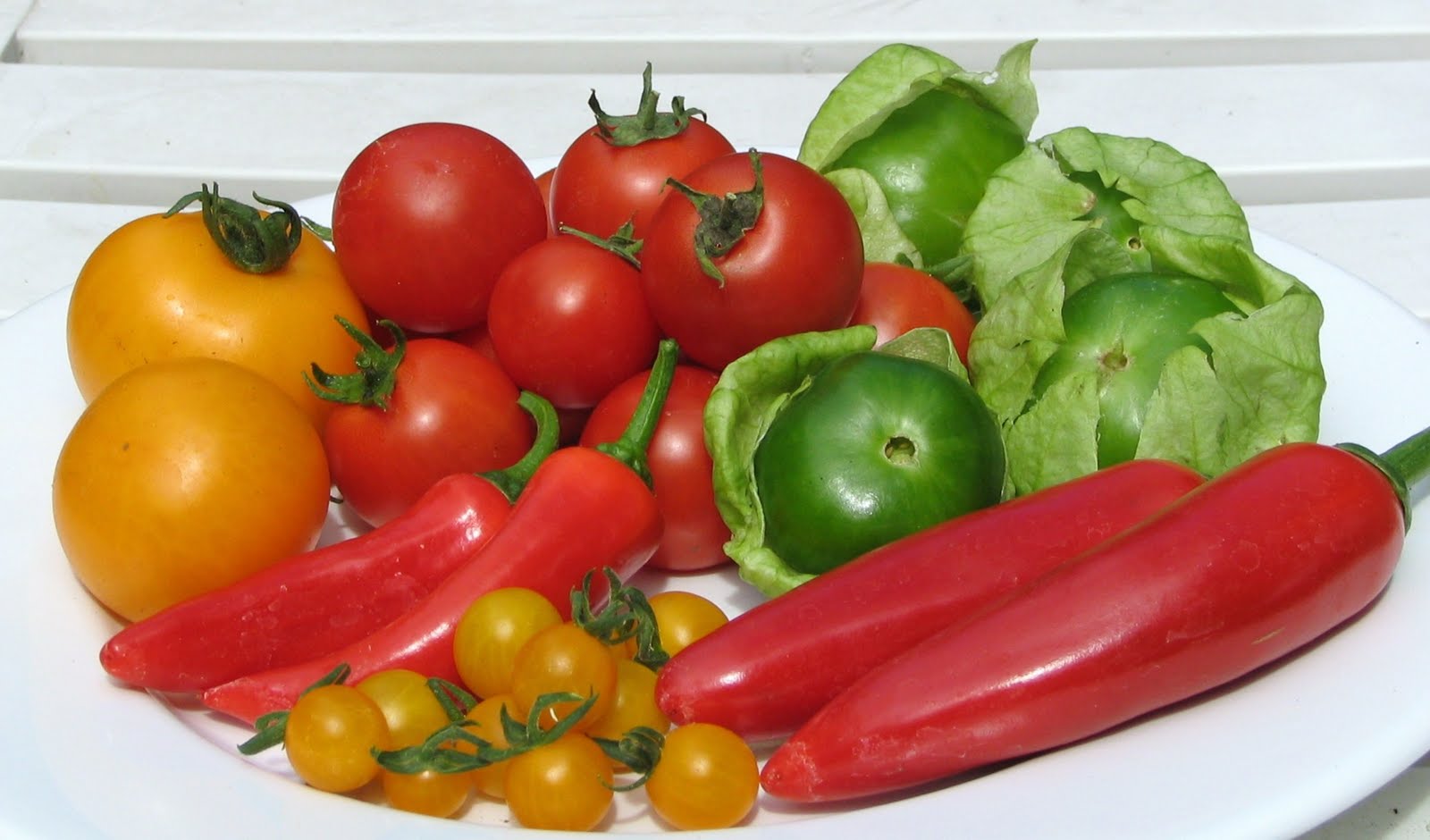 Mark's Veg Plot: Photos