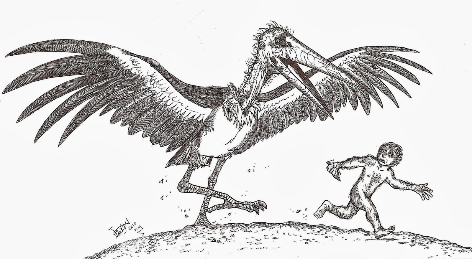 ShukerNature: FLORES HOBBITS AND THE GIANT STORK OF DOOM