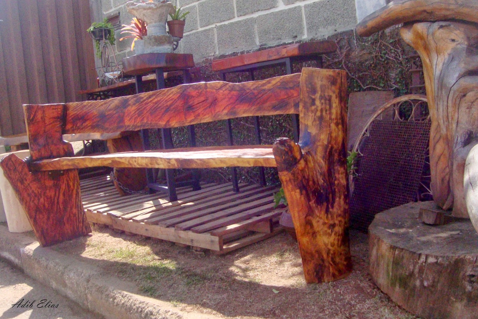 Troncos e raizes: Bancos rústicos Eco Design