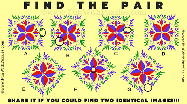 Genius Visual Riddle: Spot the Matching Pairs!