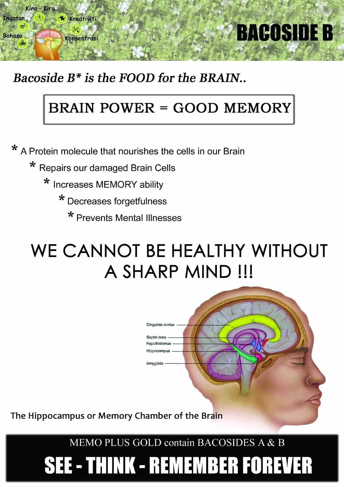 Memo Plus Gold: Memo Plus Gold for Healthier Brain