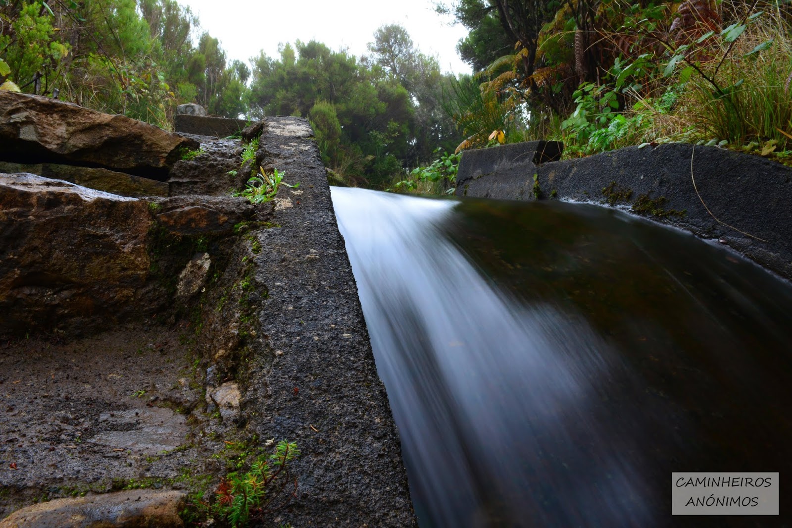 Caminheiros Anónimos Levadas da Madeira : Levada Grande do Paul (Calheta)