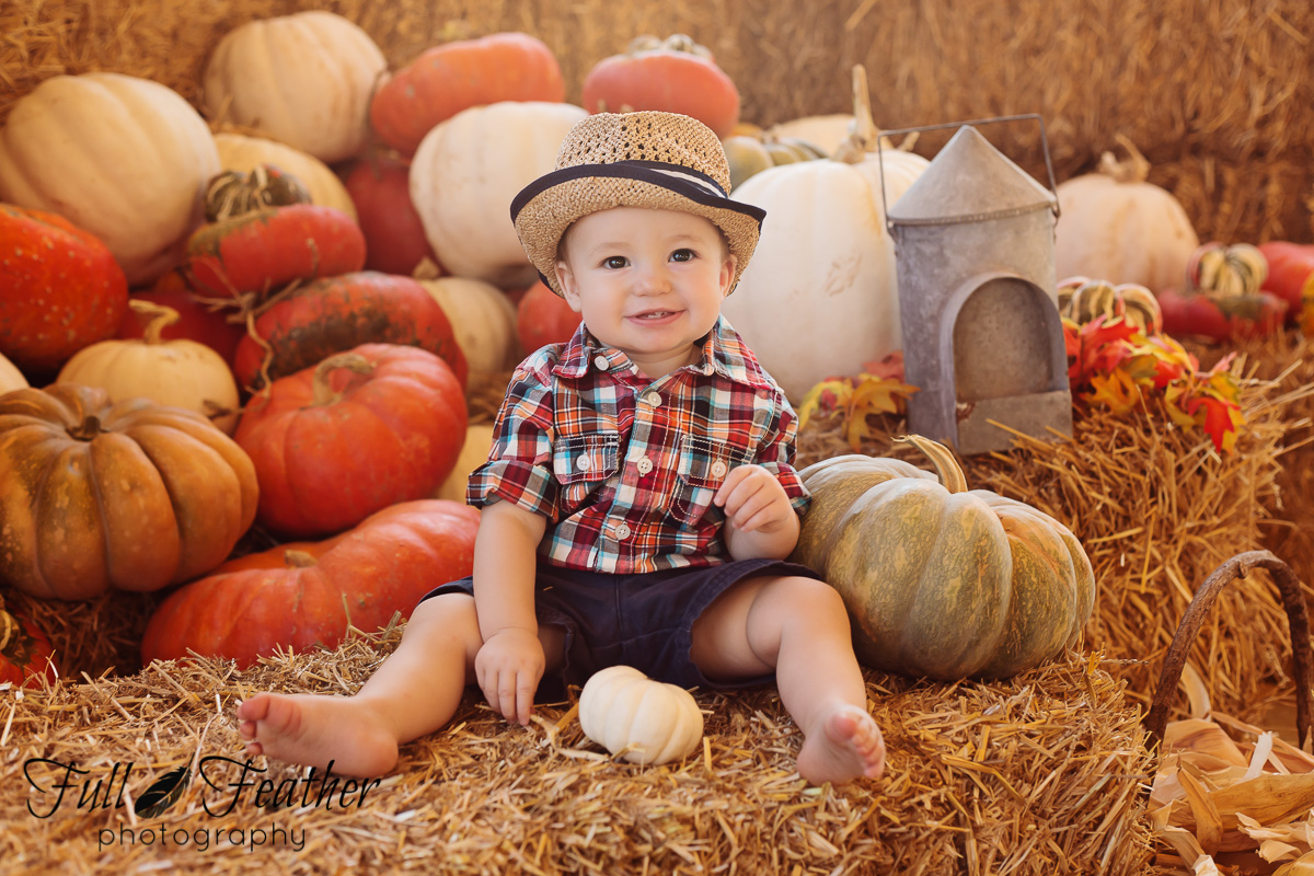 Full Feather Photography: Pumpkin Patch Mini Sessions at Pumpkin Town ...