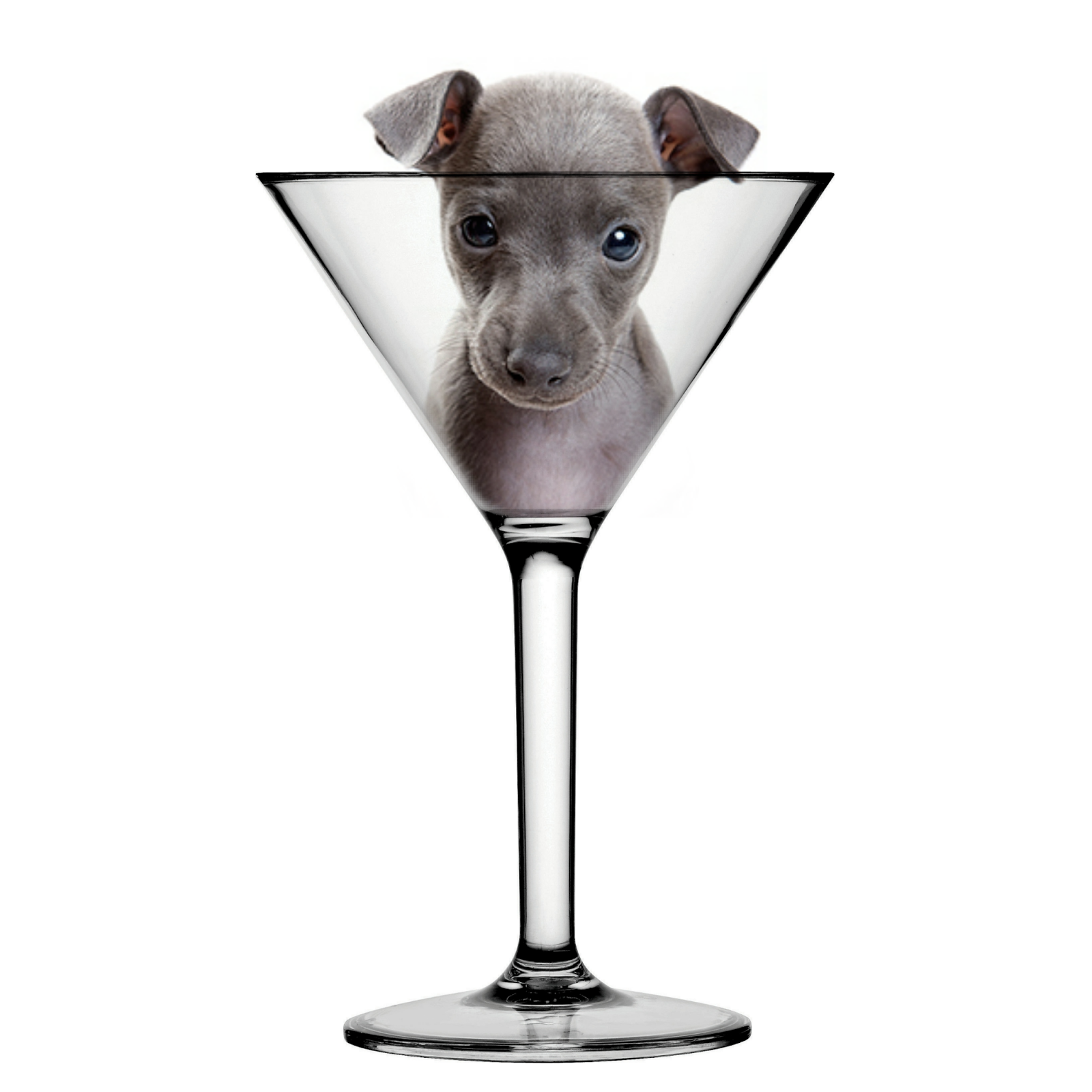 The MARTINI DIVA: COCKTAILS GO TO THE DOGS