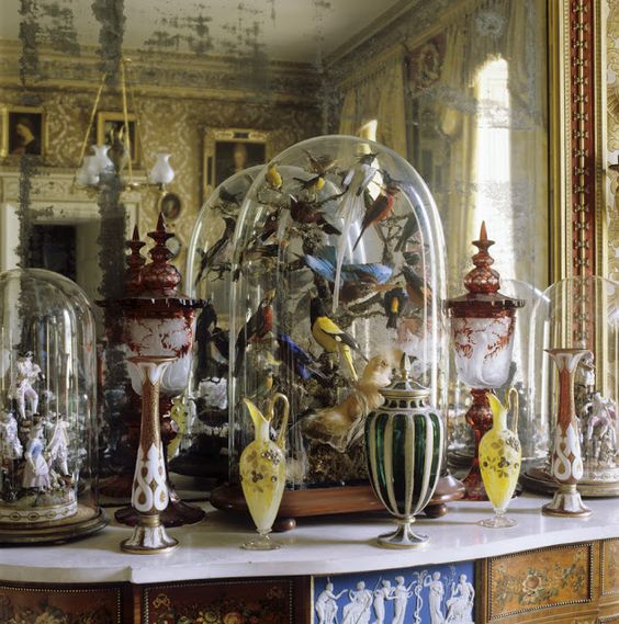 Eye For Design: Decorating Under Glass With Cloches And Domes