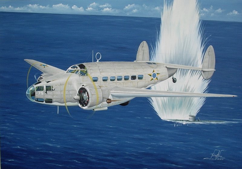 NELSON ANAYA - A ARTE AERONÁUTICA