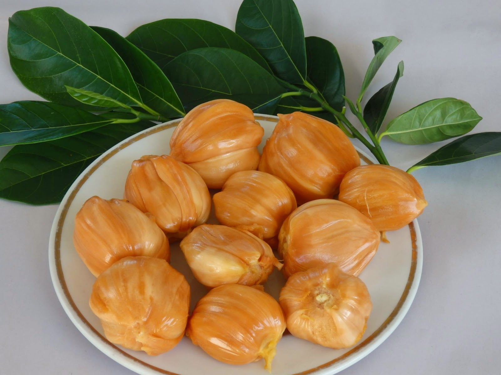 Daleys Fruit Tree Blog: Jackfruit Crisp Orange Tree - Fast becoming my ...