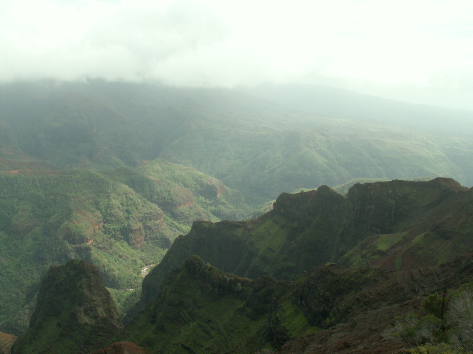 The "Gallory" of Gavin & Mallory