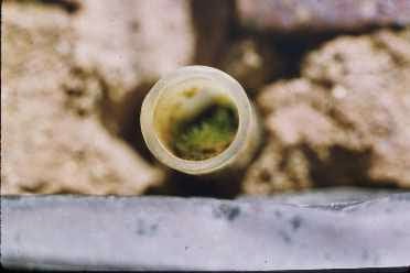 METROPOLITAN ENGINEERING & ENVIRONMENTAL SERVICES: CONSTRUCTION DEFECTS ...