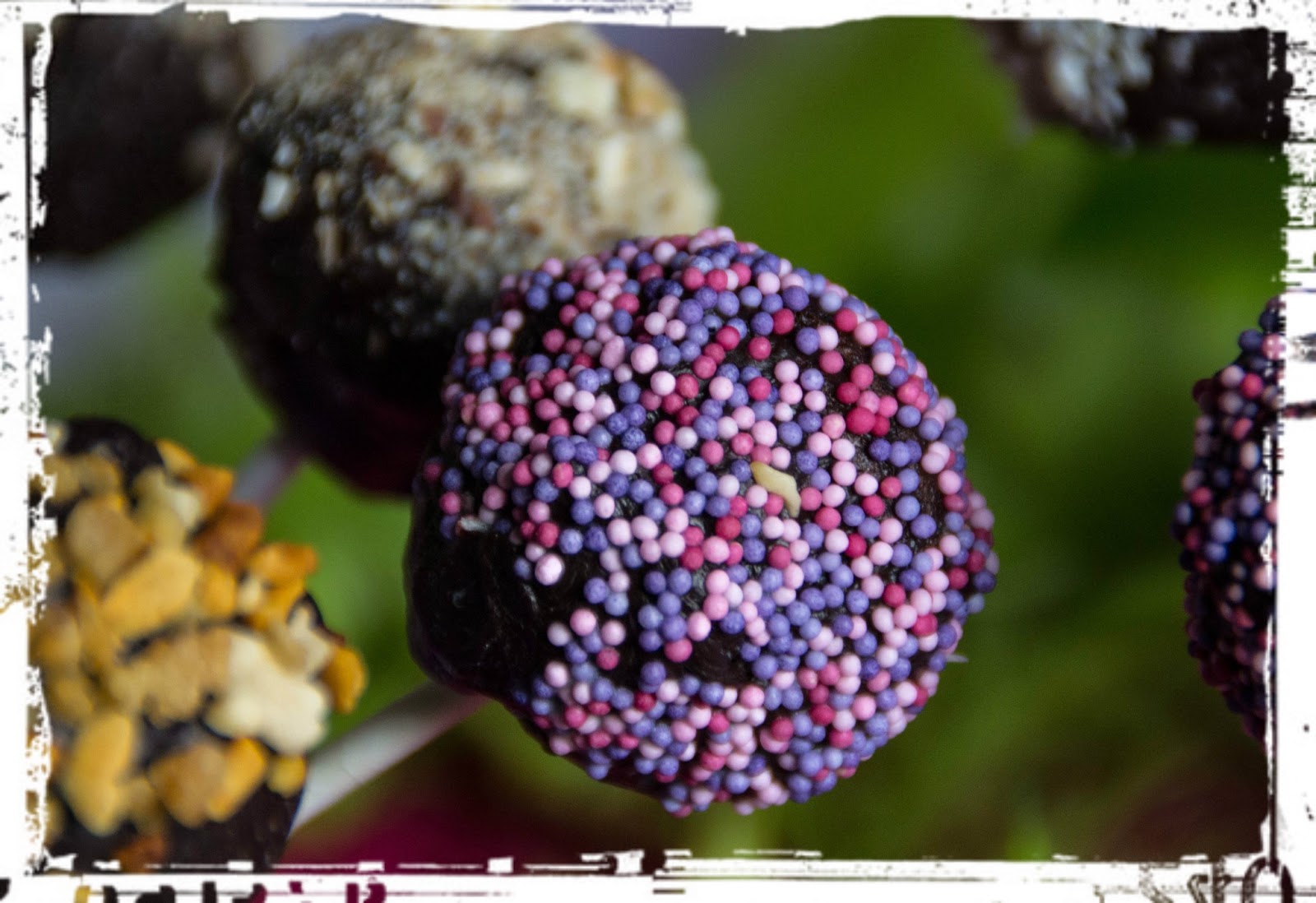 Popote et Nature: et Pop