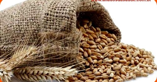 Cevada - Motivos para você incluir a cevada na sua dieta - Aliados da Saúde