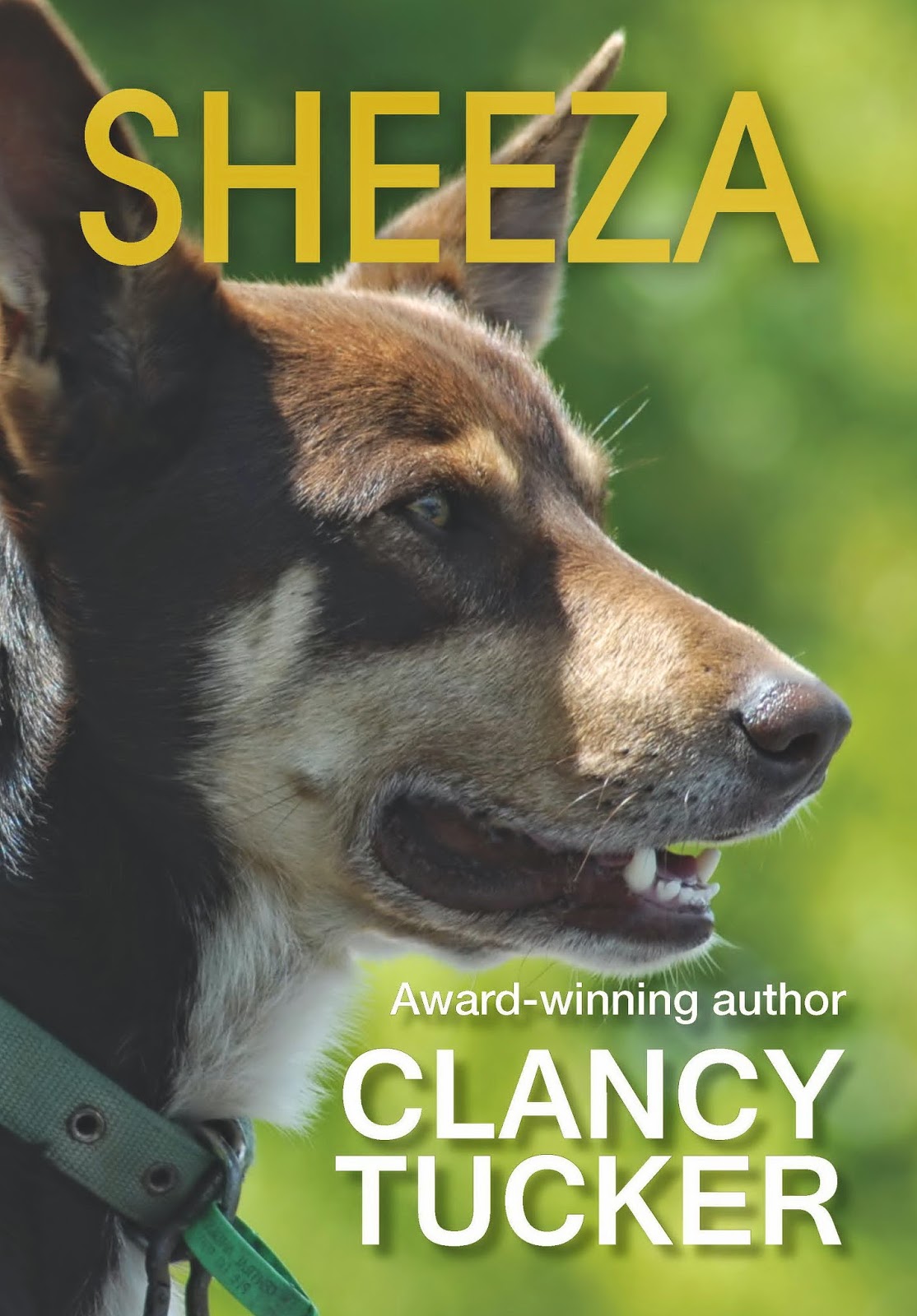 Clancy Tucker's Blog: 17 August 2015 'SHEEZA' - New Release! - Clancy ...