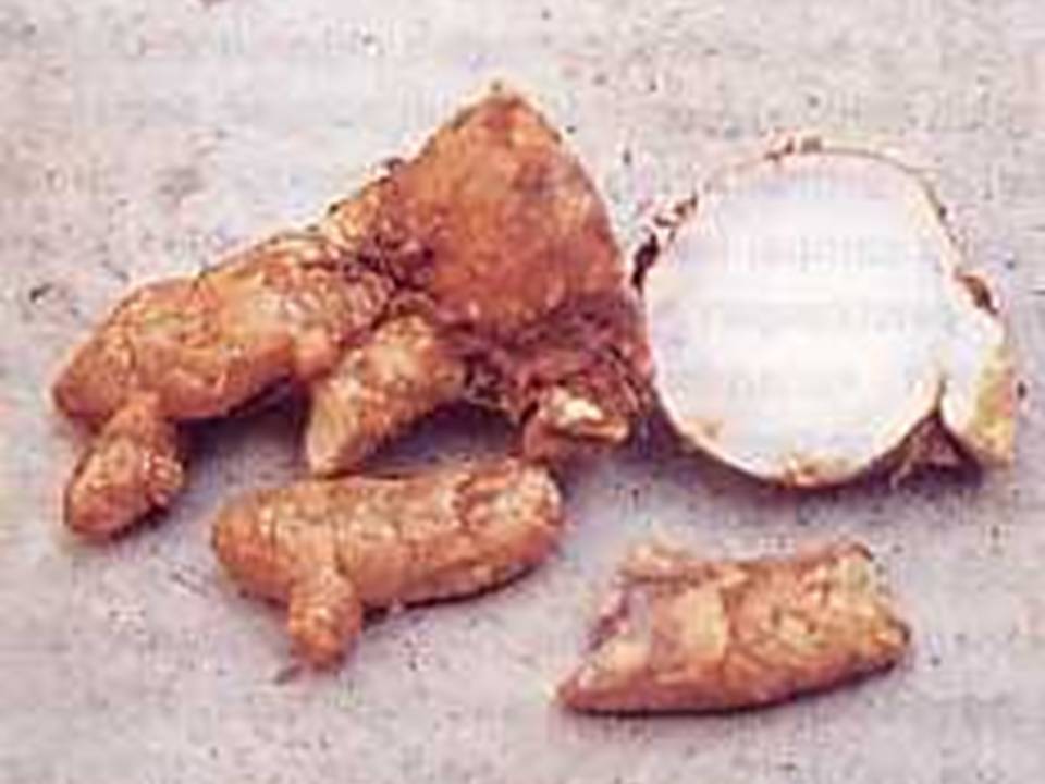 000000000: KHASIAT TEMU HITAM / IRENG UNTUK KESEHATAN