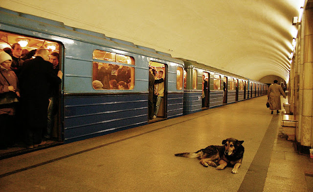 Análise: Russian Subway Dogs (PC) é divertido e desafiador - GameBlast