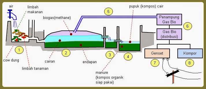 Biomassa Padat dan Biogas