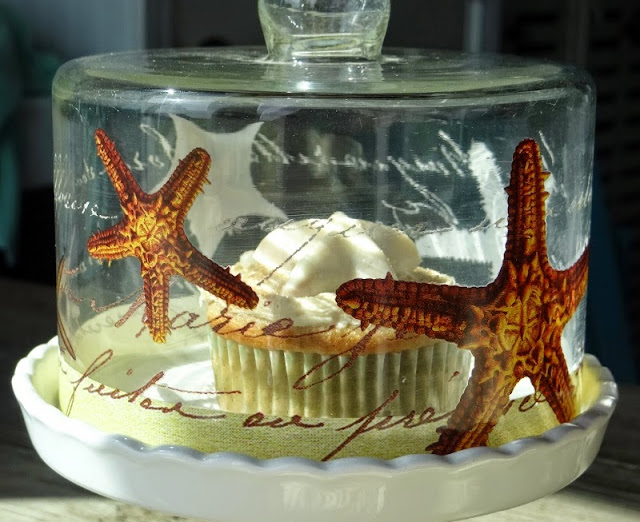 ...a quiet life...: the edible shell collector...