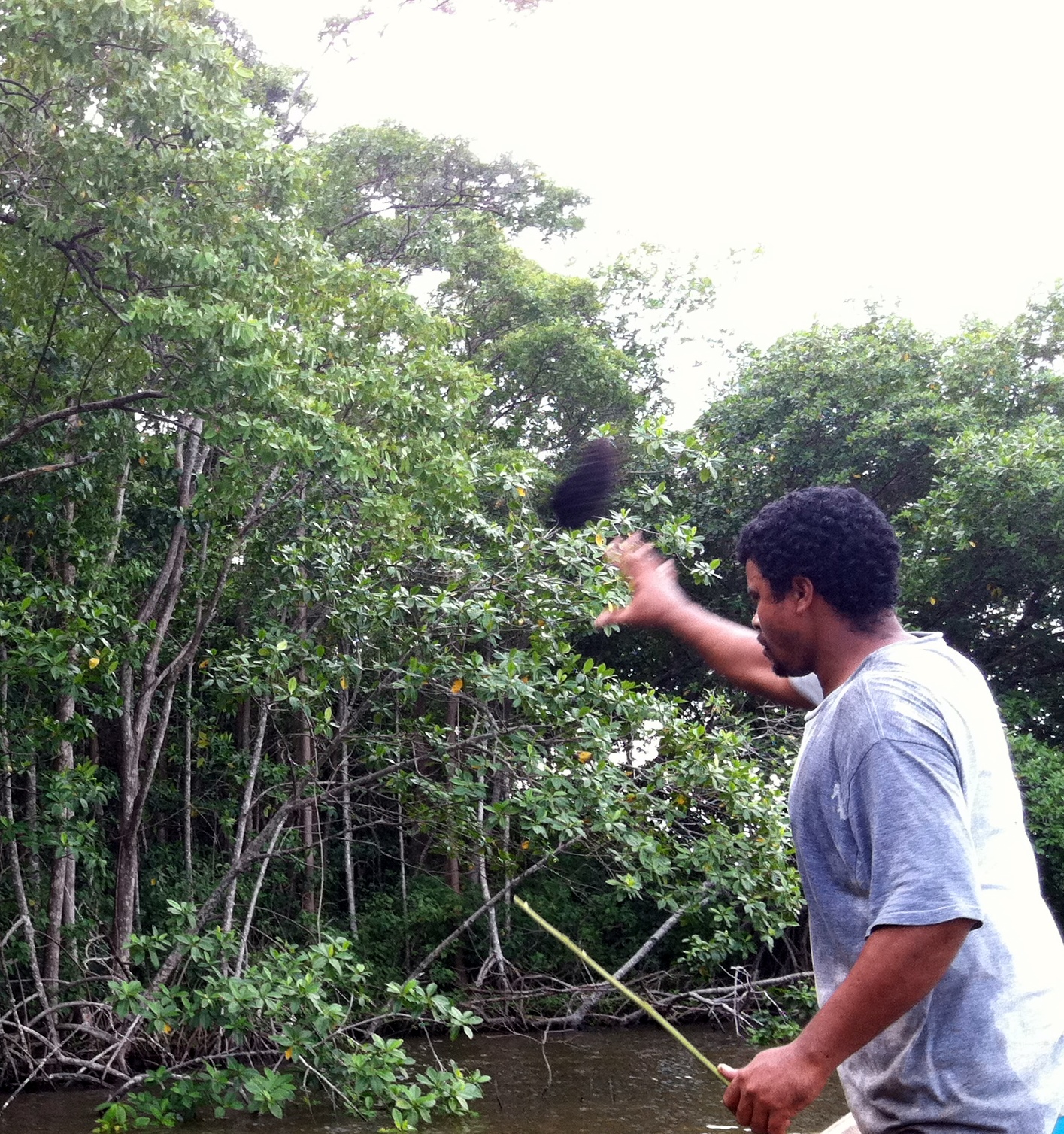 FALSE BLUFF NICARAGUA: Termite fishing