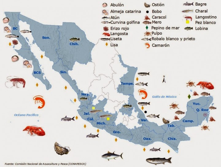 Nyfiken Geográfico: PESCA EN MÉXICO