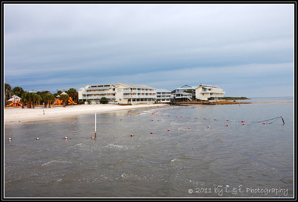 Cedar Key (Florida) Photos: On the beach - Cedar Key