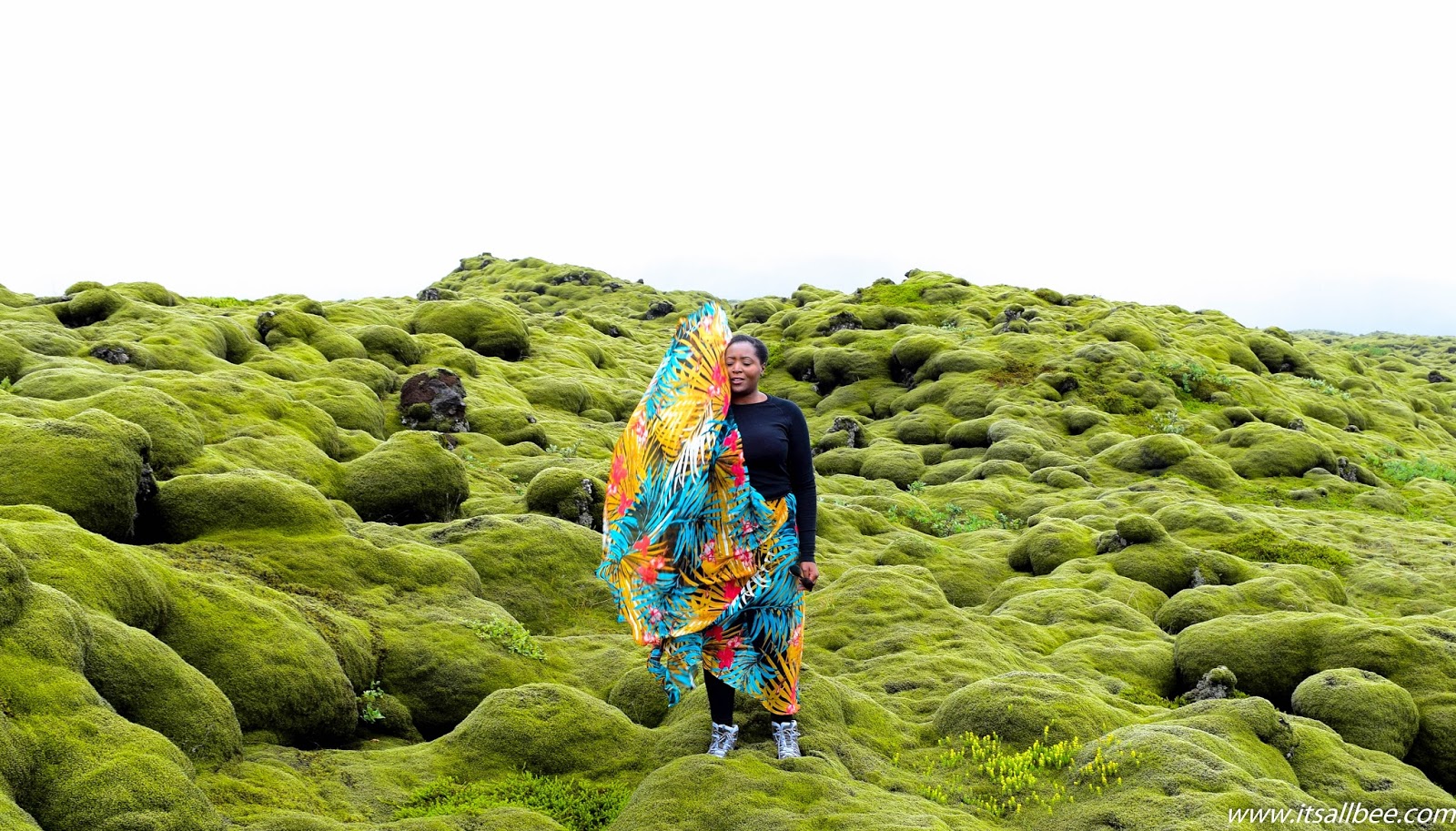 Iceland's Eldhraun Lava Field - Unmissable Sights Of Moss Covered ...