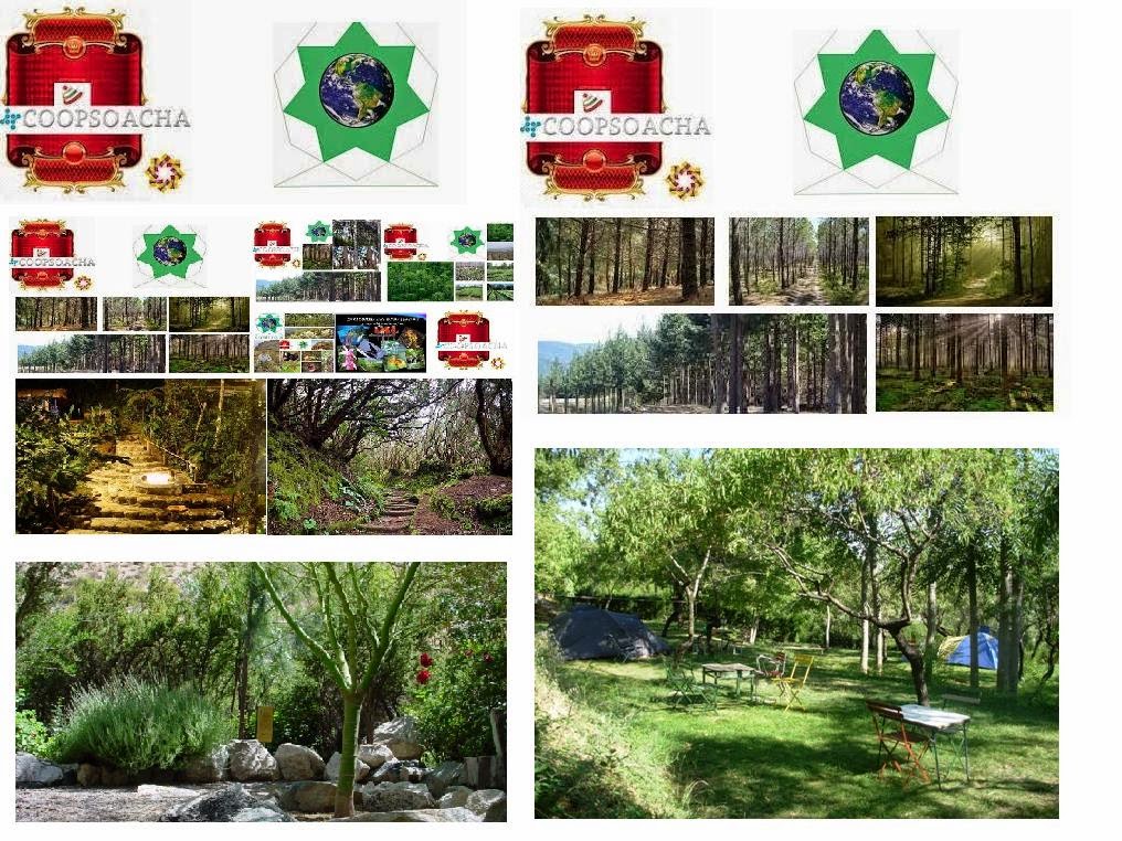 REVIVIR VERDE TURISMO ECOLOGICO: REVIVIR VERDE TURISMO ECOLÓGICO ...