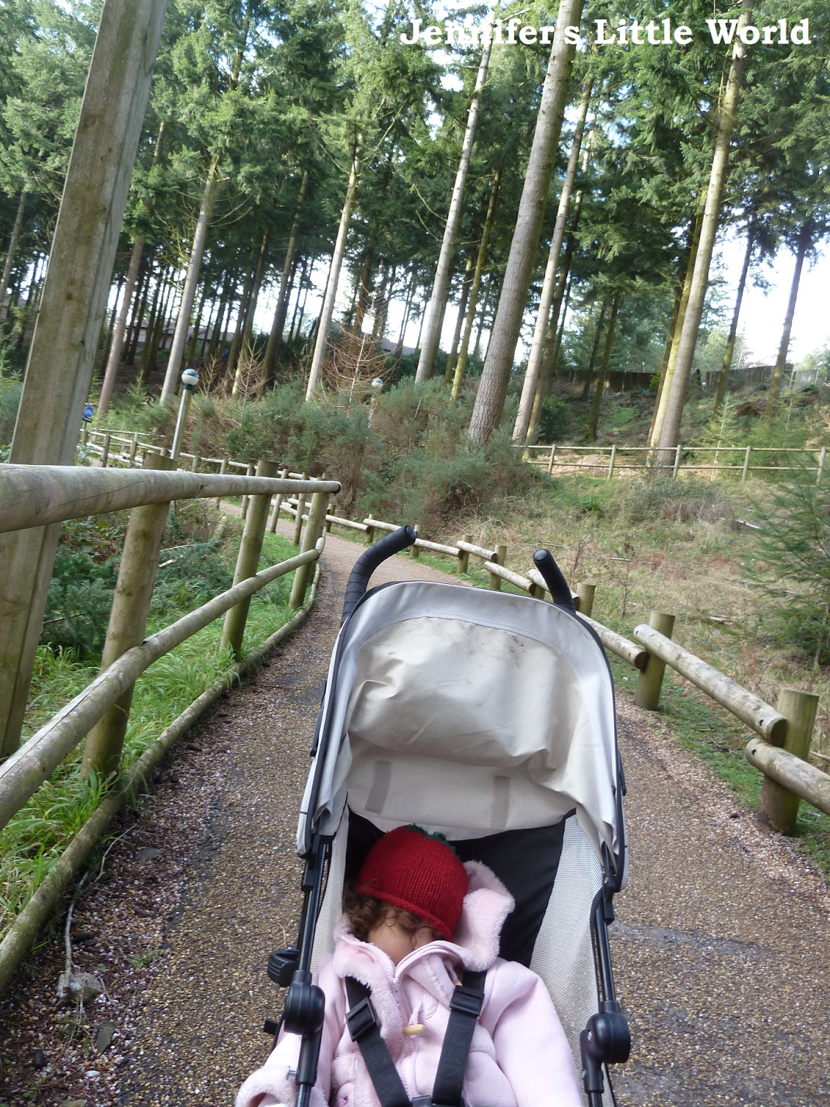 Jennifer's Little World blog - Parenting, craft and travel: Center ... Jennifer's Little World blog - Parenting, craft and travel: Center ...