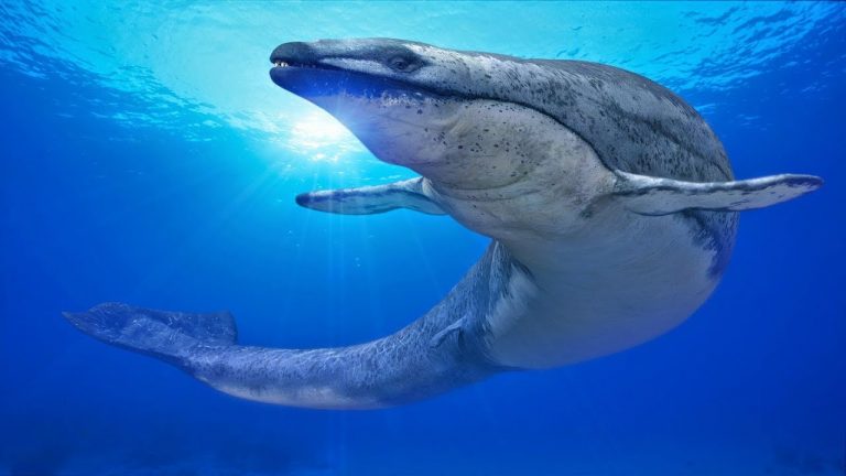 Animales prehistóricos : BASILOSAURUS