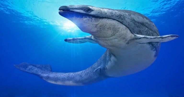 Animales prehistóricos : BASILOSAURUS