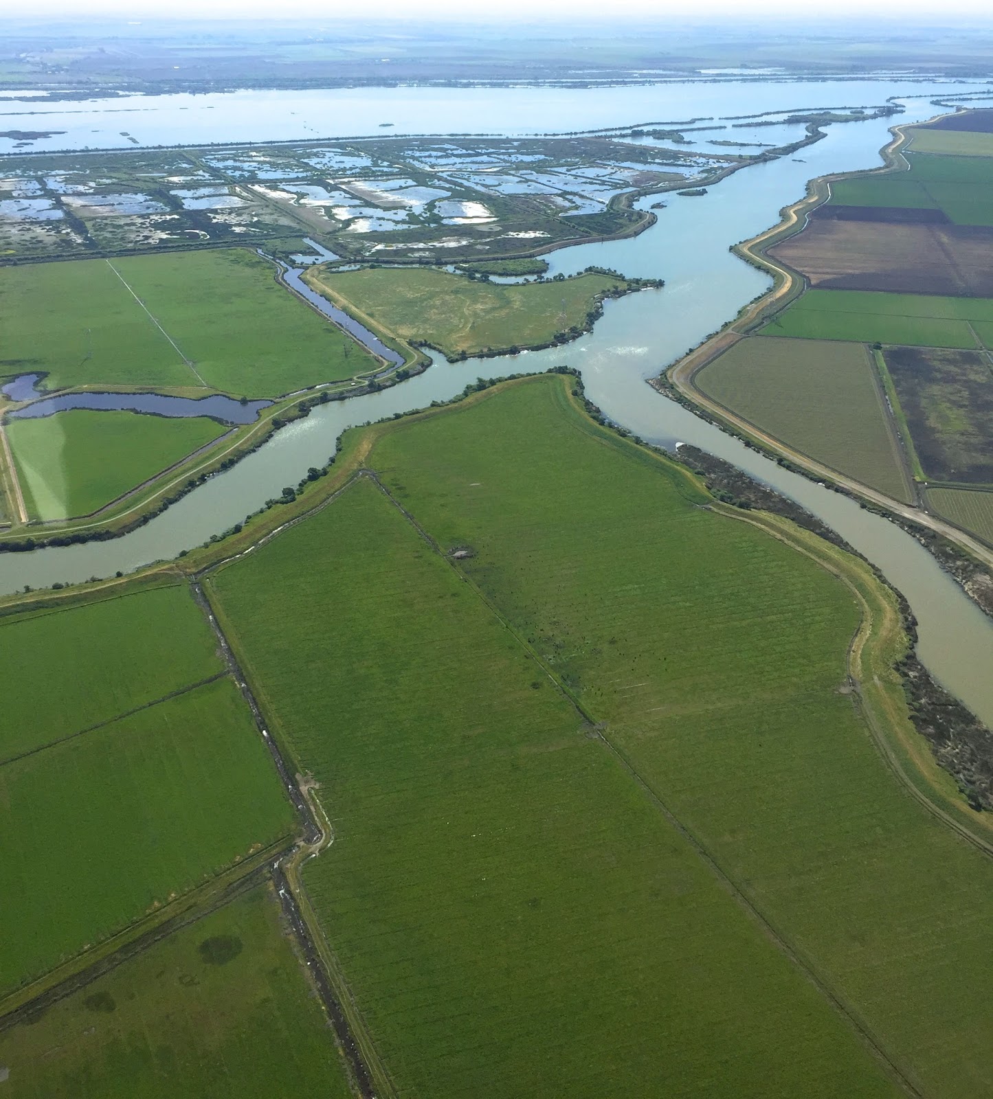 Randi Joy's Travel Blog: Flight Over the Delta Part 2