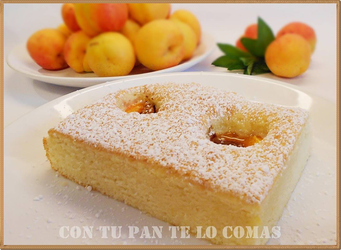 COCA DE ALBARICOQUES