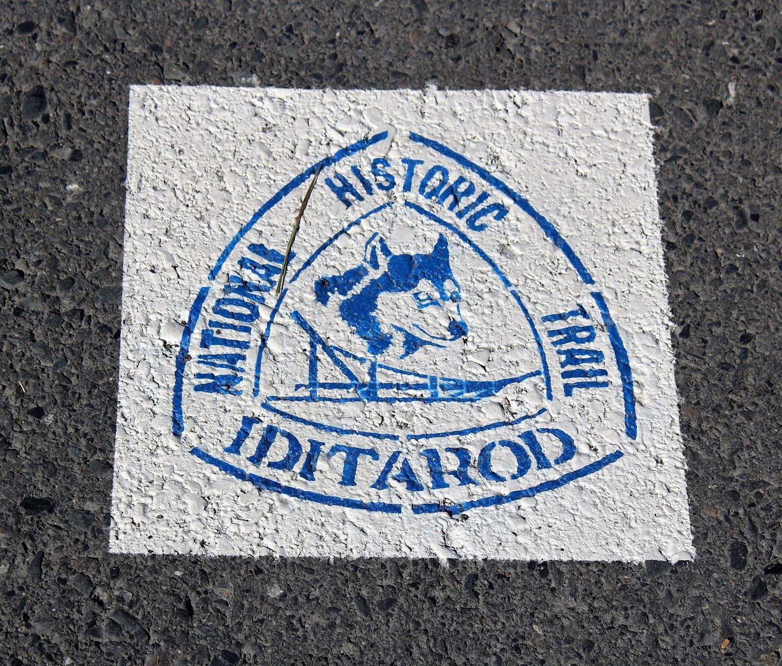 BornToRV.com: Iditarod Trail in Seward, Alaska